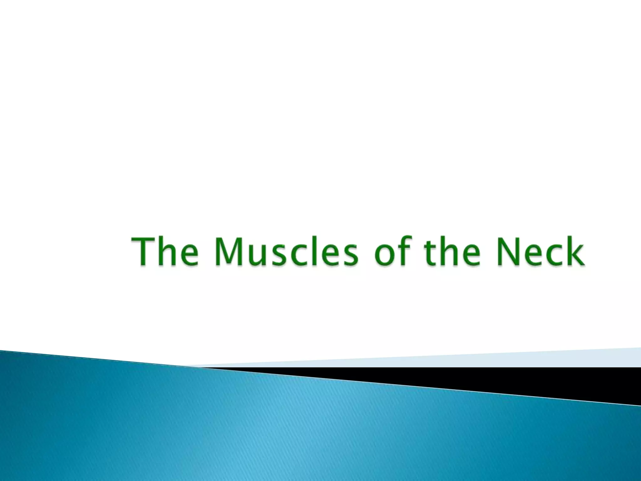 Midterms. Gen Ana. The Muscles of the Neck and Trunk | PPTX