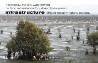 New urban ecology | PDF