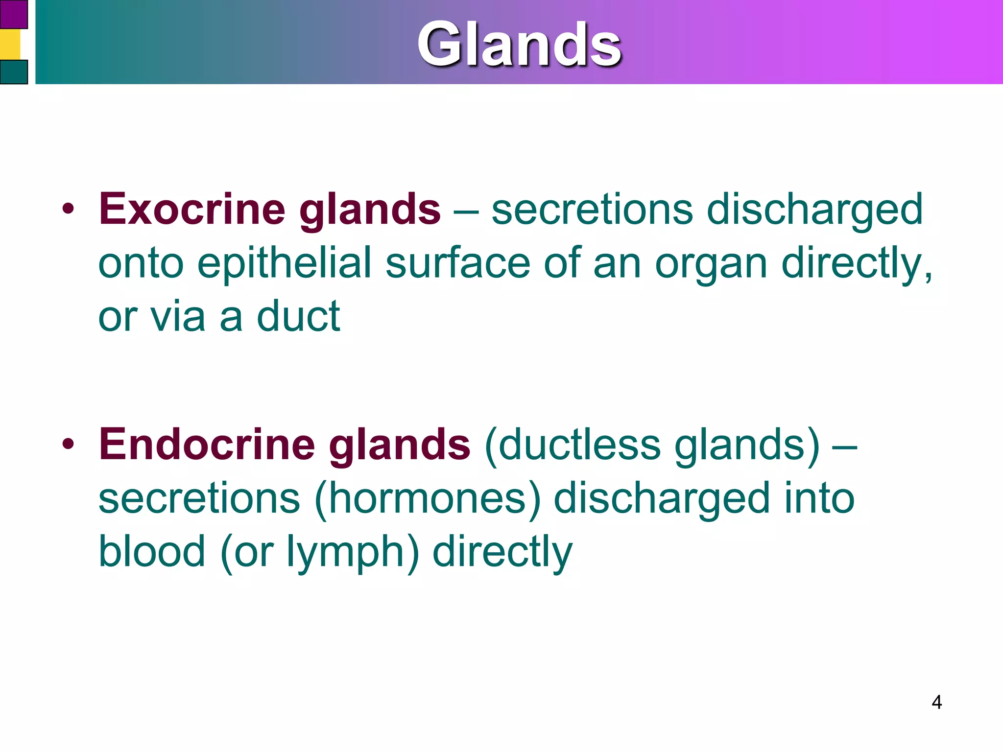 Endocrine system | PPT