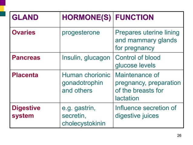 Endocrine system | PPT