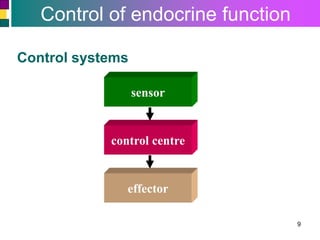 Endocrine system | PPT