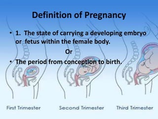 Pregnancy (Midwifery and obstetrical) | PPTX