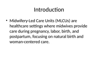 Midwifery_Led_Care_Units_Presentation.pptx
