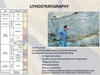 Lithostratigraphy and Depositional History of Part of the Midyan Region ...