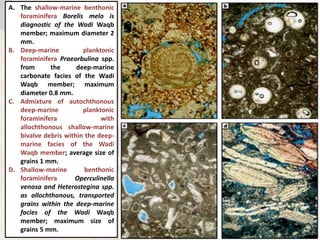 Lithostratigraphy and Depositional History of Part of the Midyan Region ...