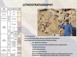 Lithostratigraphy and Depositional History of Part of the Midyan Region ...