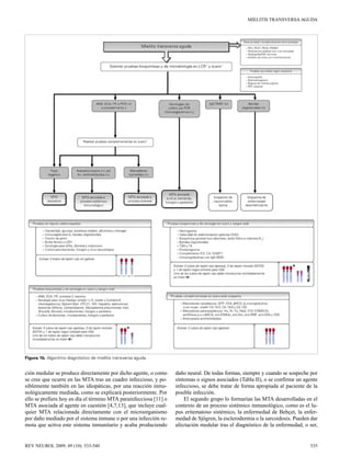Mielitis transversa | PDF