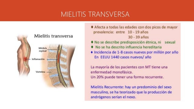 Mielitis transversa