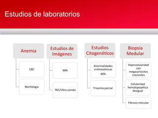 Mielofibrosis con metaplasia mieloide | PPTX
