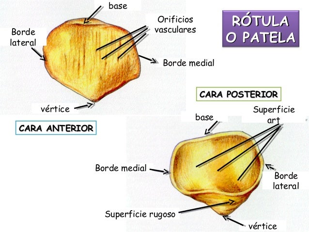 PRODUCCION Y TRATAMIENTO DE IMAGENES DIAGNOSTICAS: mayo 2016
