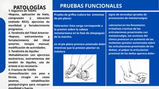 MIEMBRO inferior pruebas funcionales de. | PPTX