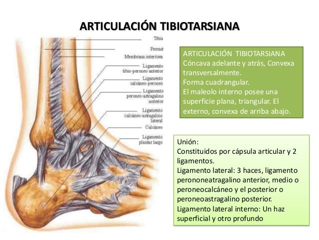 Referencias - Aprendiendo más