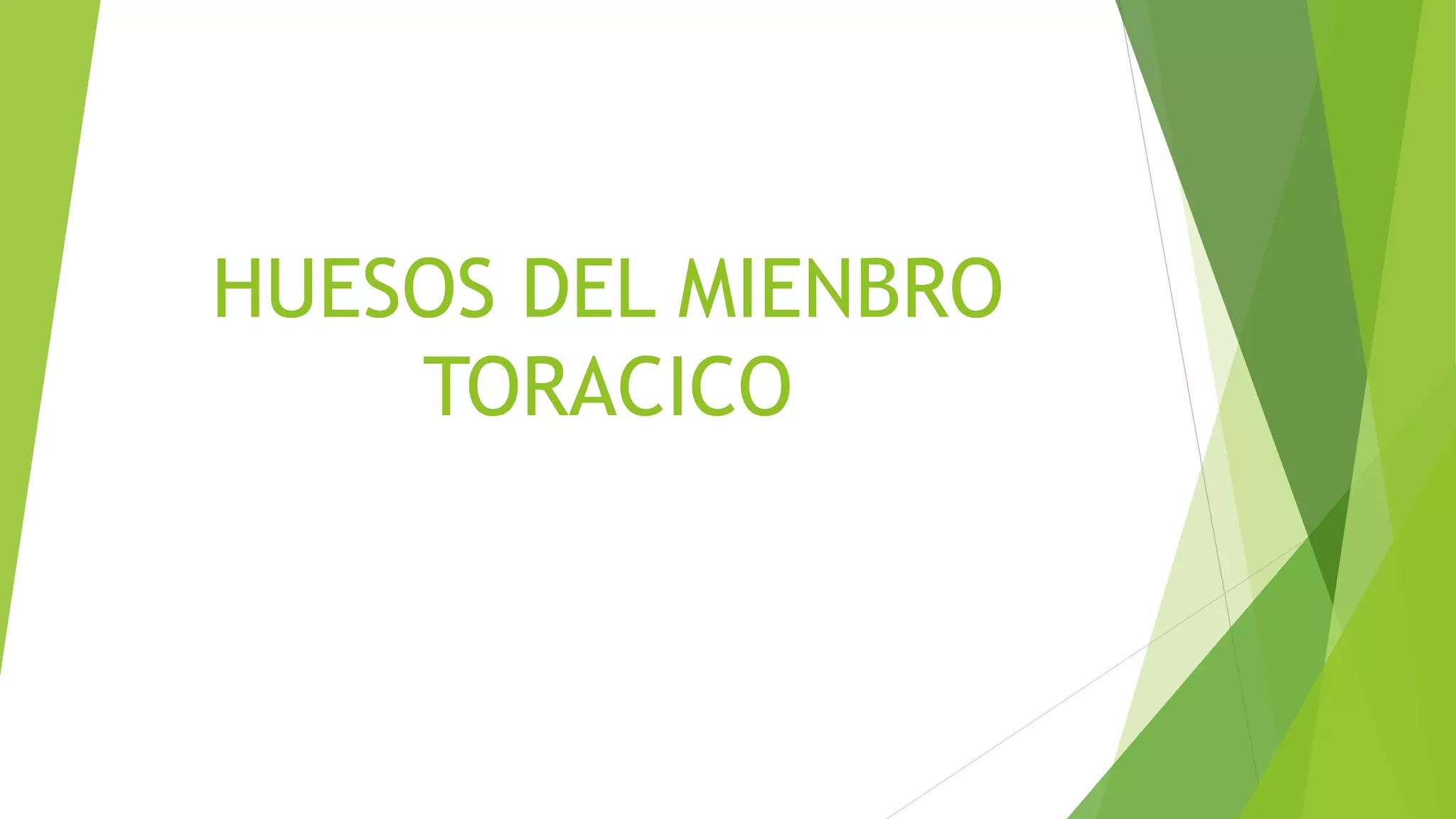 Miembro toracico | PPTX