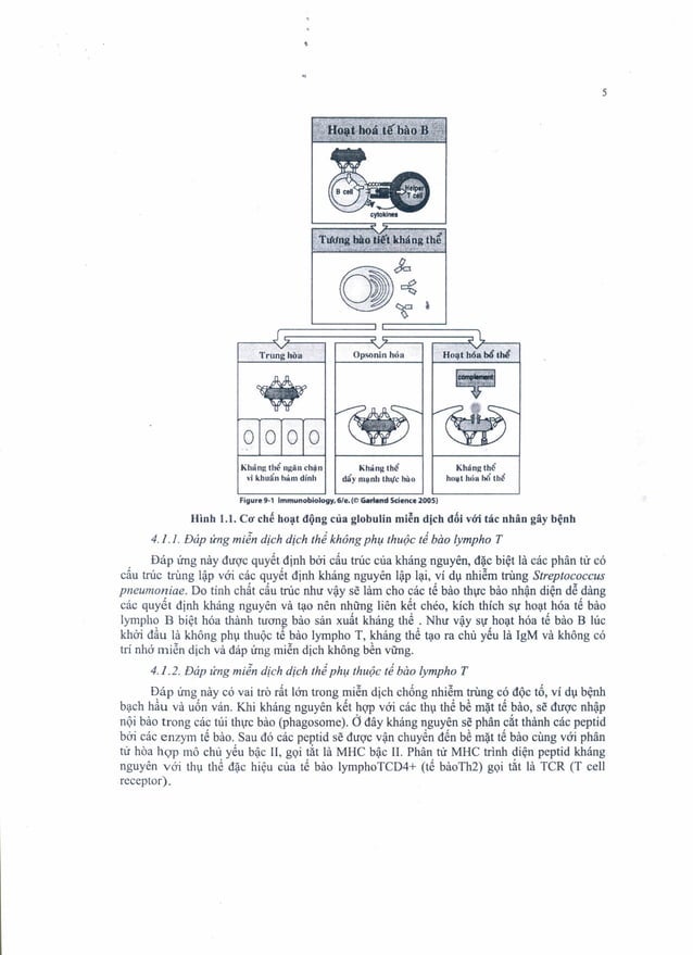 mien dich dac hieu va khong dac hieu | PDF
