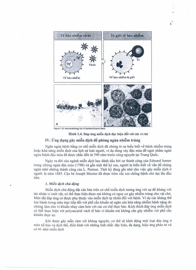 mien dich dac hieu va khong dac hieu | PDF