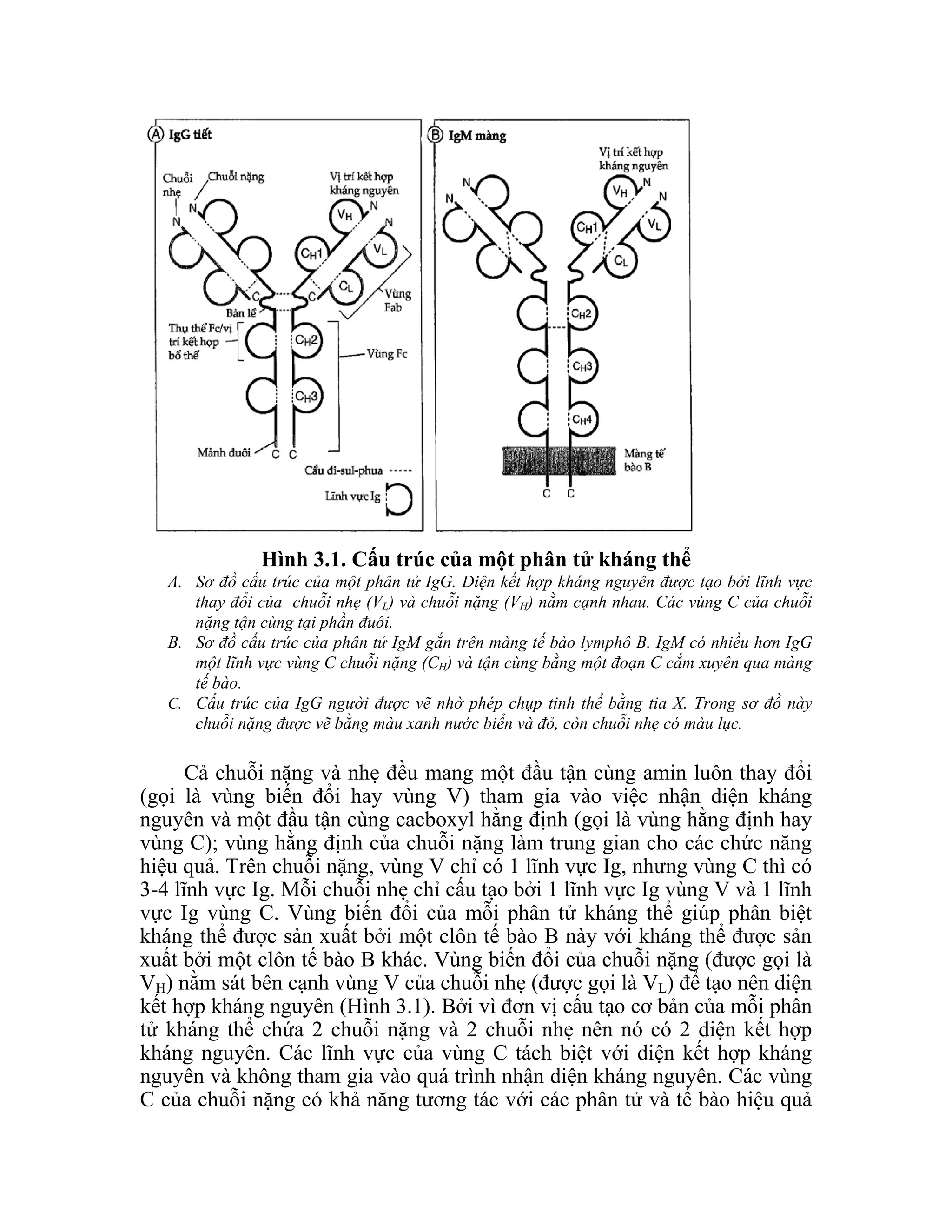 Ebook; Miễn Dịch HỌC | PDF