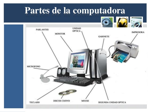 Conhecimentos Basicos De Informatica Hardware E Software - badleisure