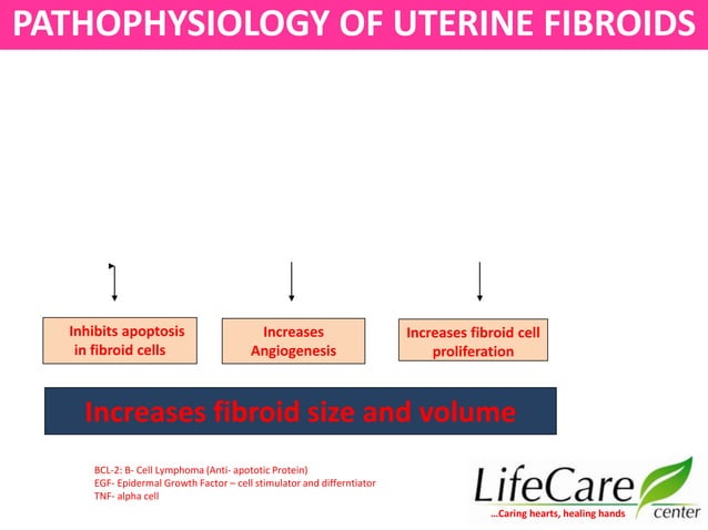 Low Dose Mifeprostone in the Management of Fibroid Dr Sharda Jain | PPTX