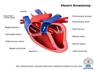 Myocardial Infarction | PPTX