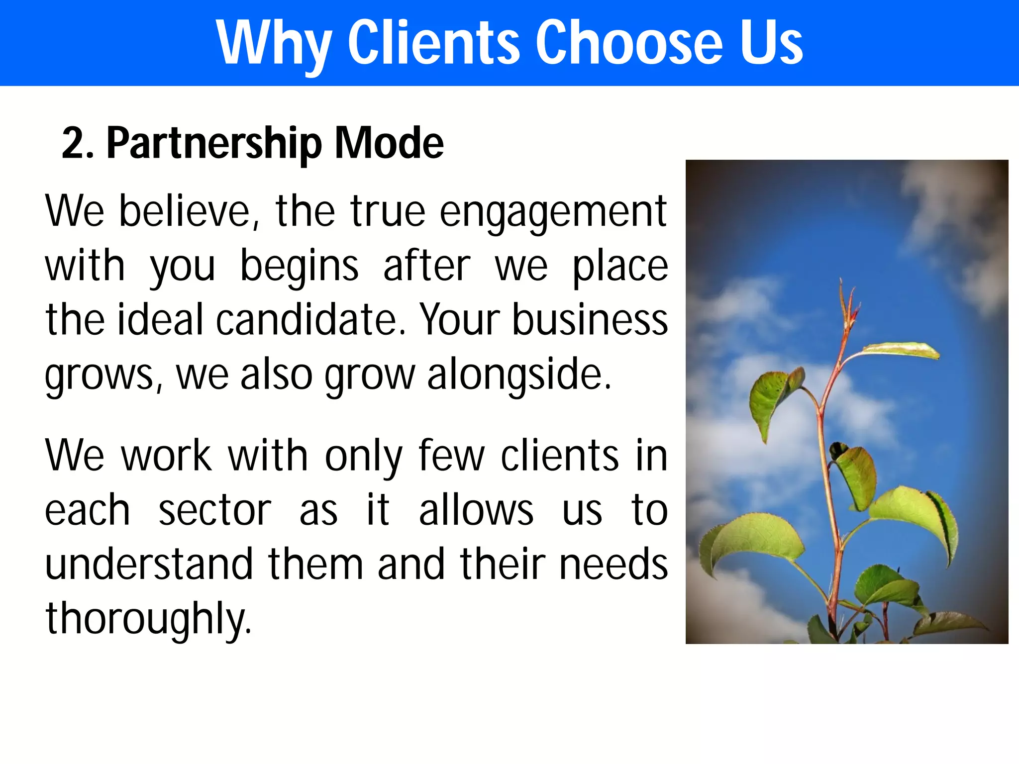 Mify Jobs Profile | PDF