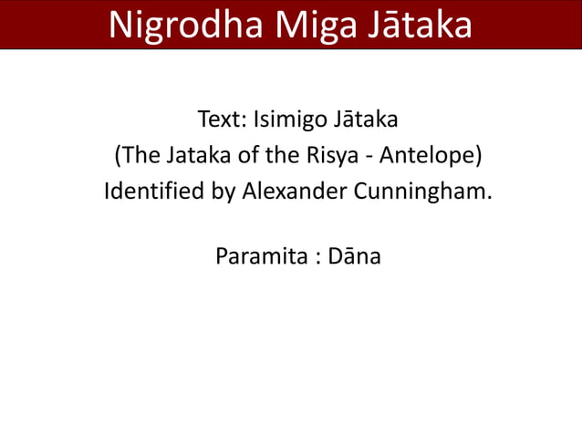 MIGA-WPS Office.pptx