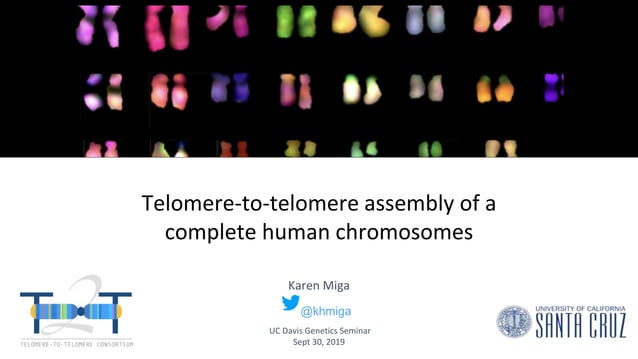 Telomere-to-telomere assembly of a complete human chromosomes | PPTX