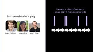 Telomere-to-telomere assembly of a complete human chromosomes | PPTX