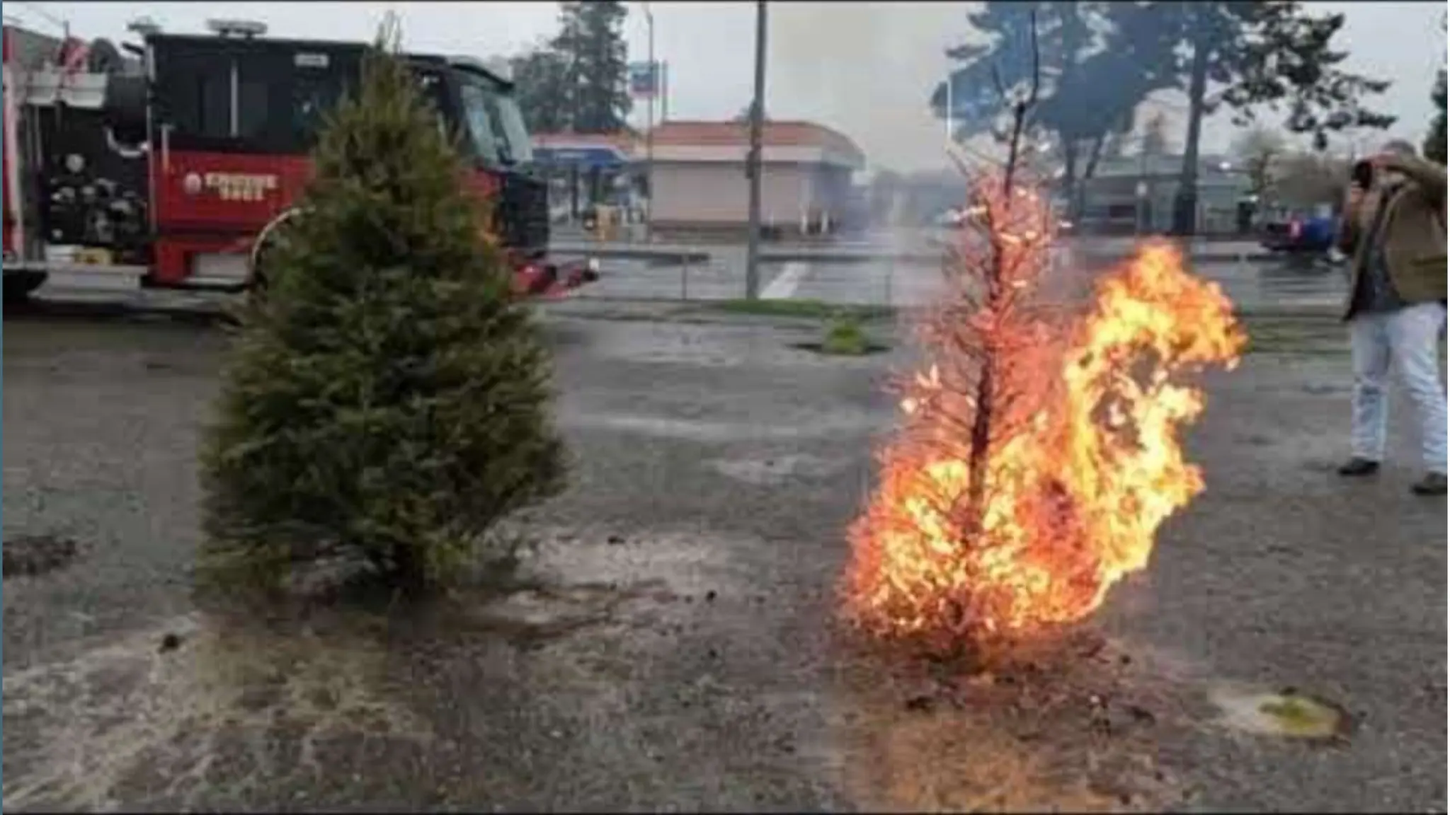 Introduction to Mighty Fire Breaker Presentation.pptx