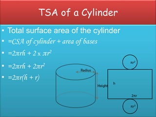 Mighty midgets | PPTX