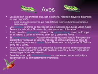 Migración animal | PPT