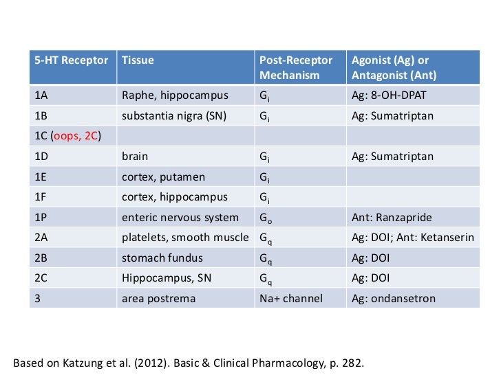 Migraine and 5-HT