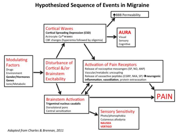 Migraine and types | PPTX