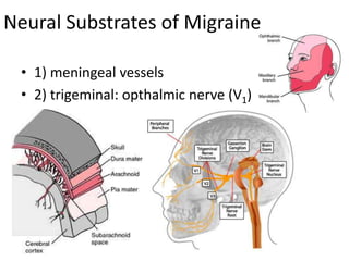 Pathophysiology: Migraine & Headache | PPTX