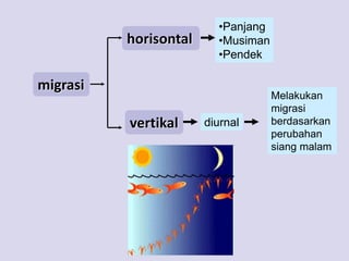 Migrasi-Ikan.ppt