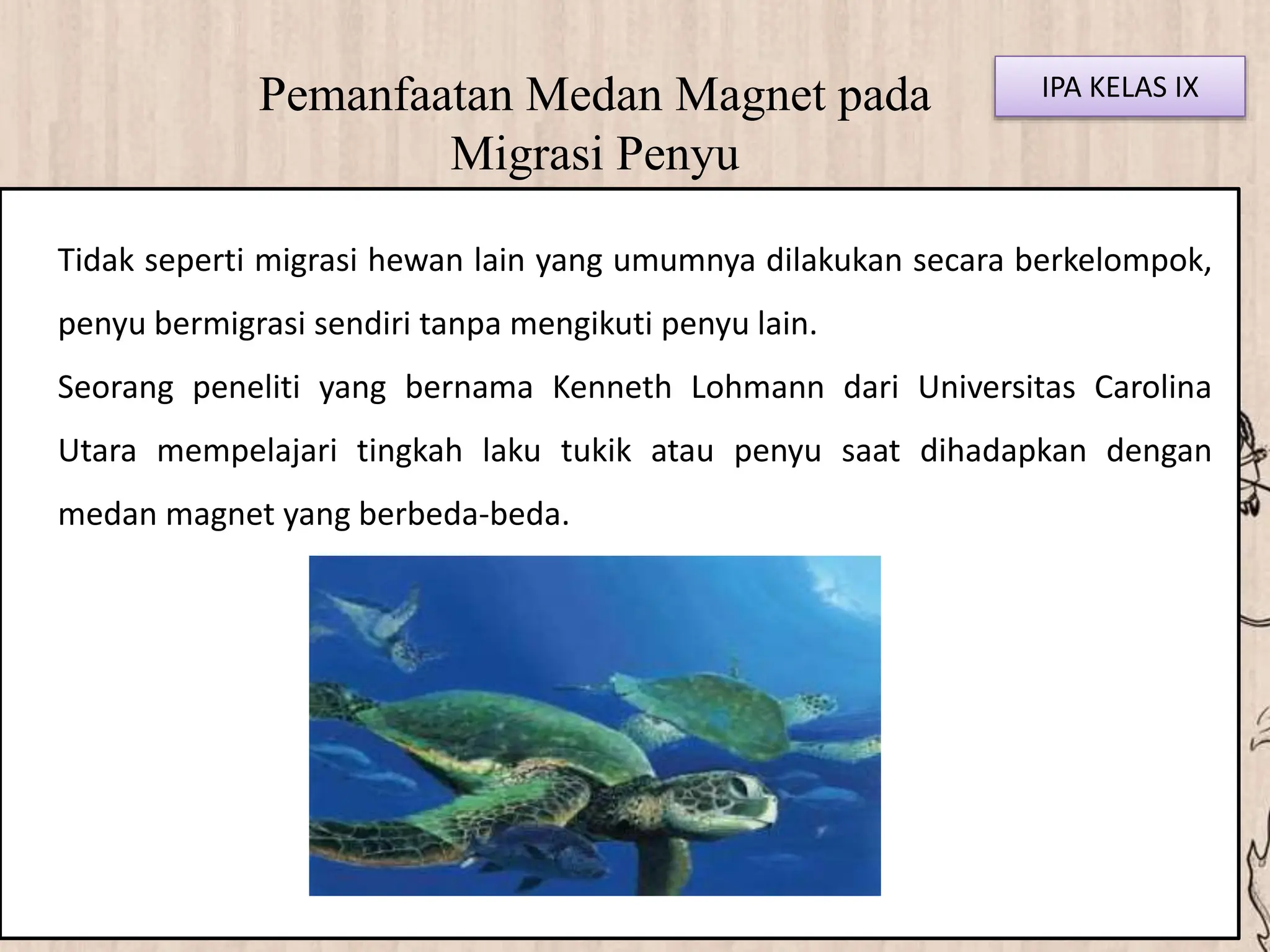 MIGRASI HEWAN DAPAM PROSES MIGRASI PADA POSISI SEMULA | PPT