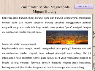 MIGRASI HEWAN DAPAM PROSES MIGRASI PADA POSISI SEMULA | PPT