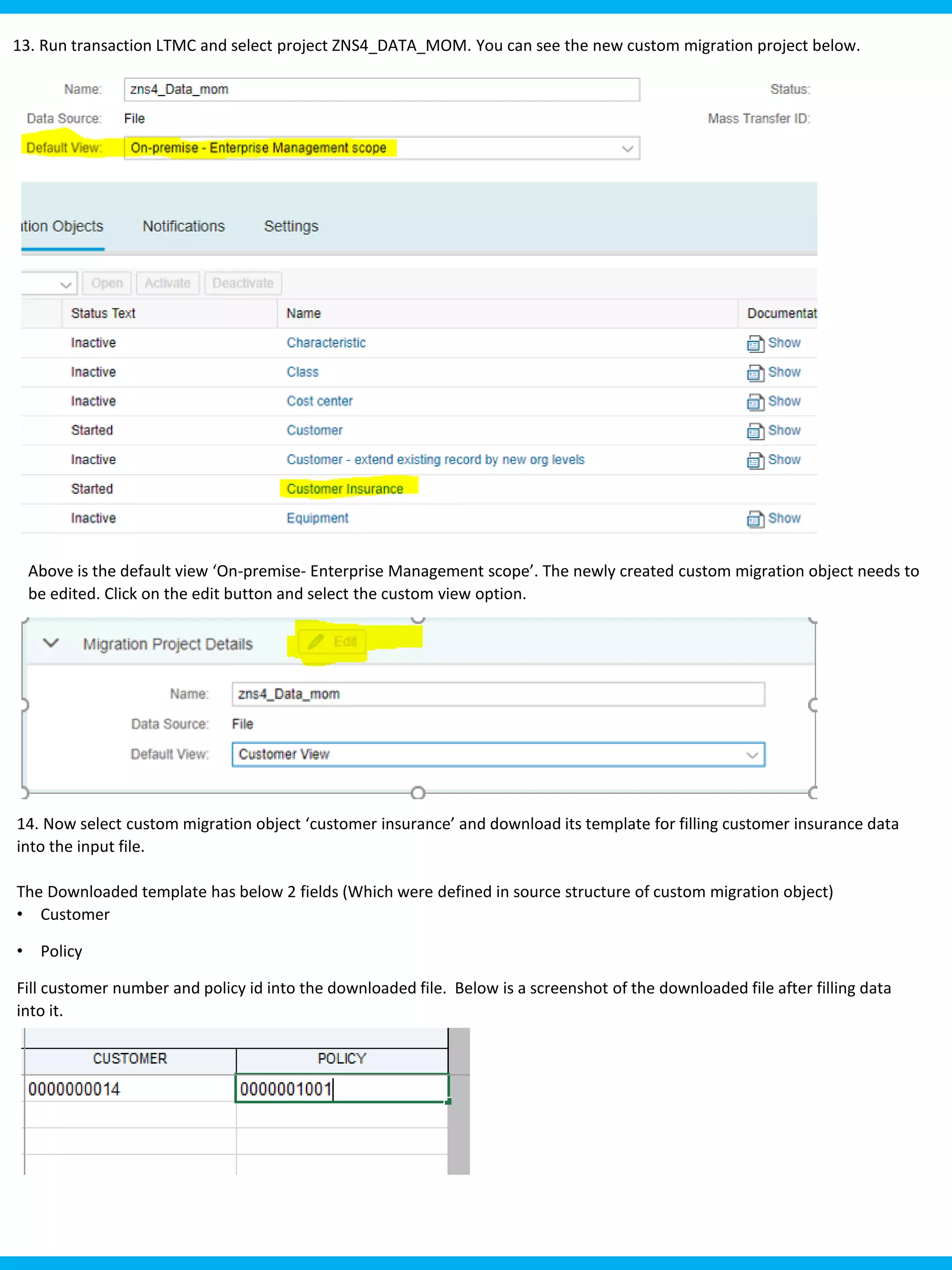 Migrate Custom data/object in SAP S/4 HANA | PDF