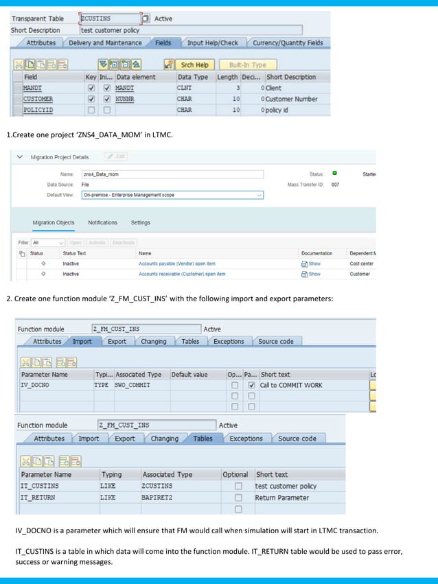 Migrate Custom data/object in SAP S/4 HANA | PDF