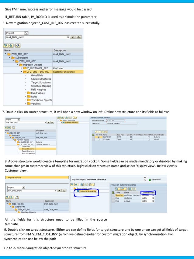 Migrate Custom data/object in SAP S/4 HANA | PDF