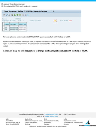 Migrate Custom data/object in SAP S/4 HANA | PDF