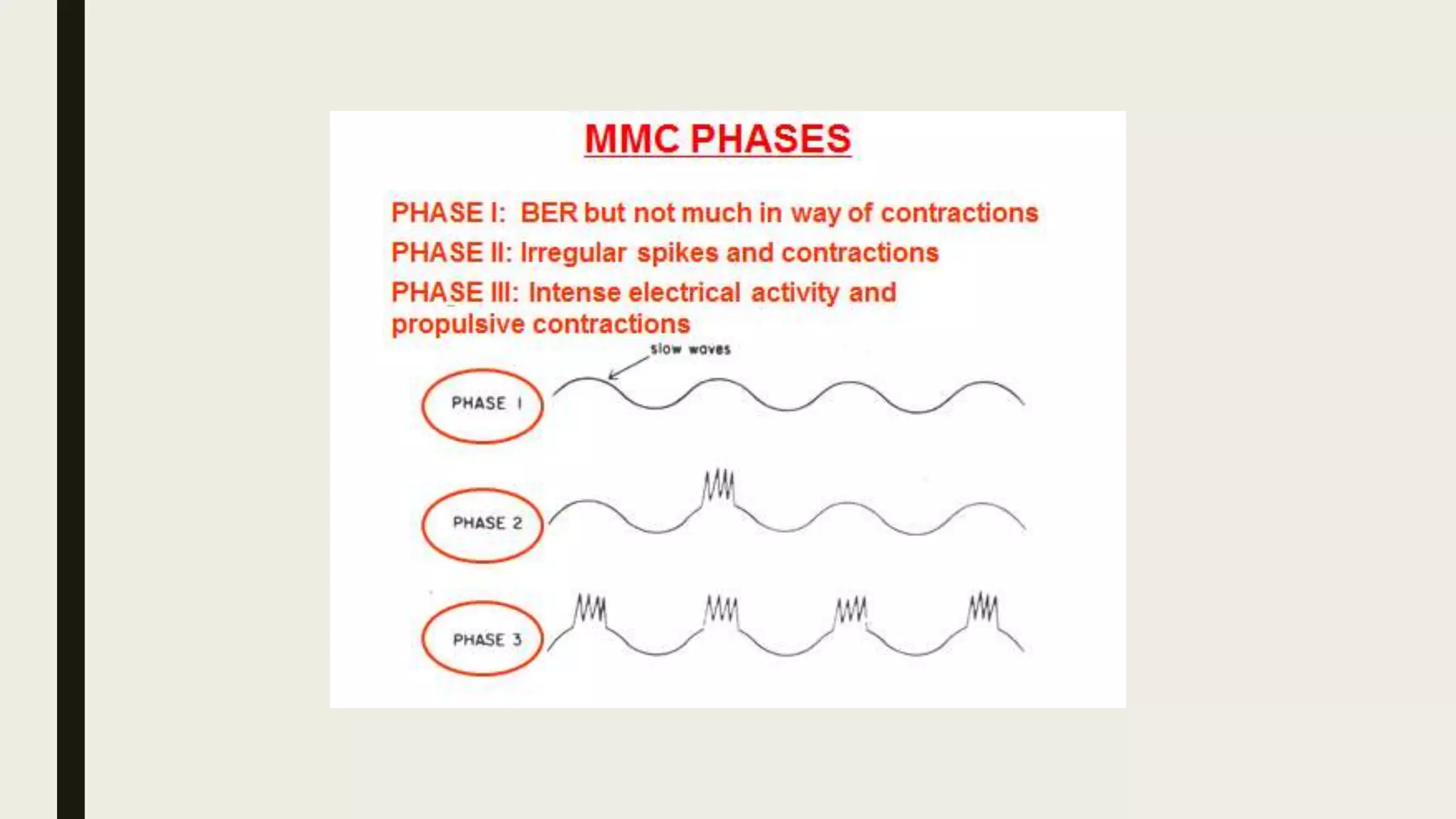 Migrating motor complex | PPTX