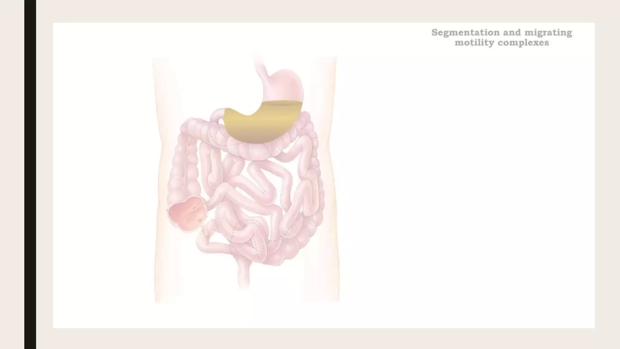 Migrating motor complex | PPTX