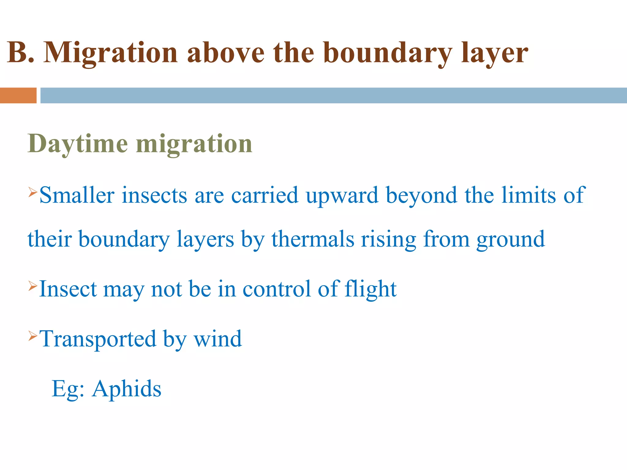 Migration OF INSECTS | PPT | Birdwatching | Hobbies & Interests