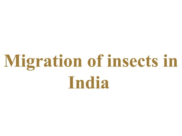 Migration OF INSECTS | PPT | Birdwatching | Hobbies & Interests