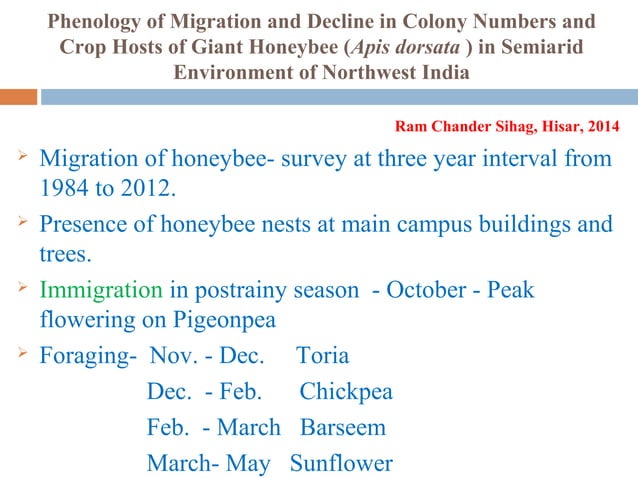 Migration OF INSECTS | PPT | Birdwatching | Hobbies & Interests