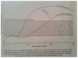 Migration OF INSECTS | PPT