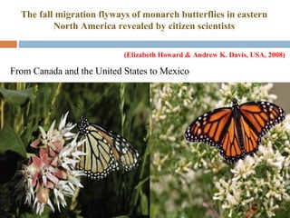 Migration OF INSECTS | PPT