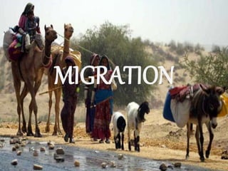Migration | PPT