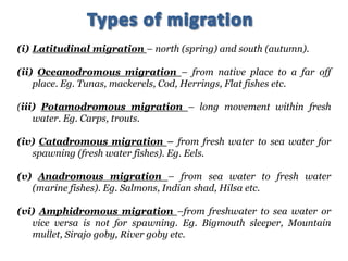 Migration-of-Fishes of fishes migrationa | PDF