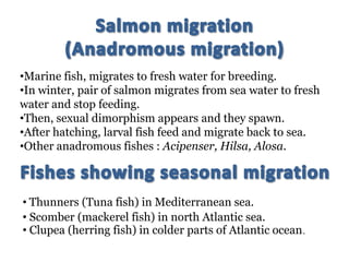Migration-of-Fishes of fishes migrationa | PDF